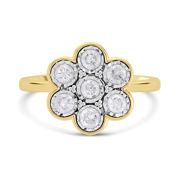 9ct Gold Diamond Cluster Ring - 55pts - D9292 | F.Hinds Jewellers