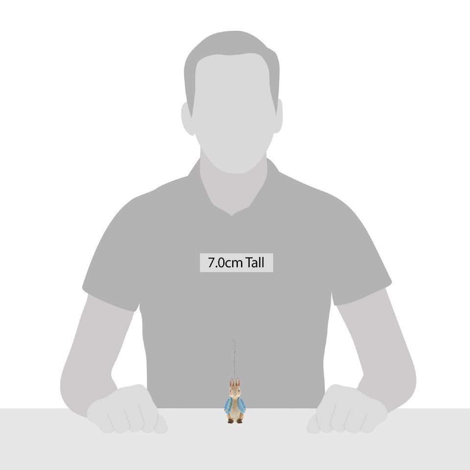 Beatrix Potter A29489 Peter Rabbit Hanging Figurine - P8768 | F.Hinds ...